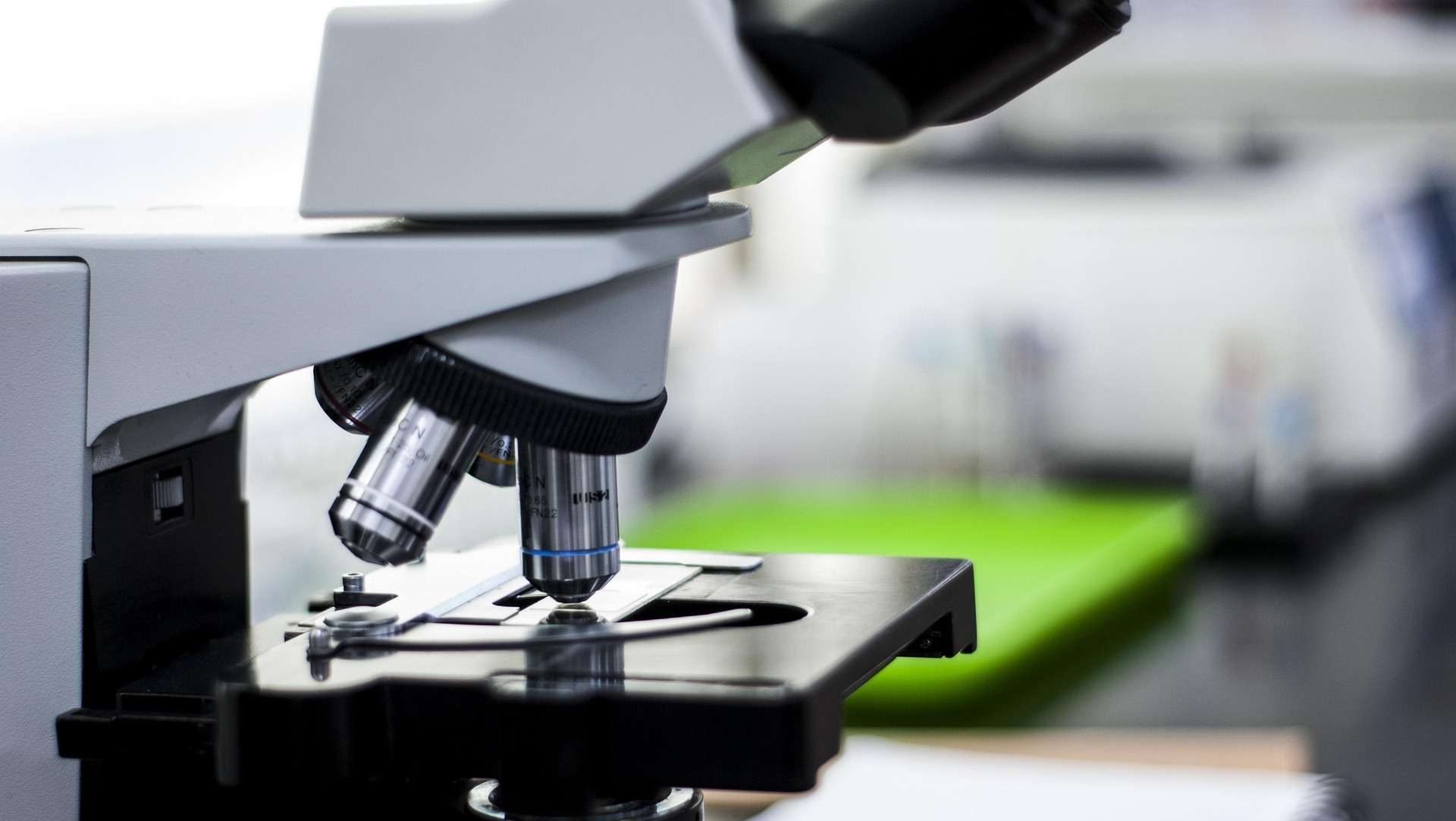 Homeschoolers Thrive in MIT Summer Internship Program - Education ...